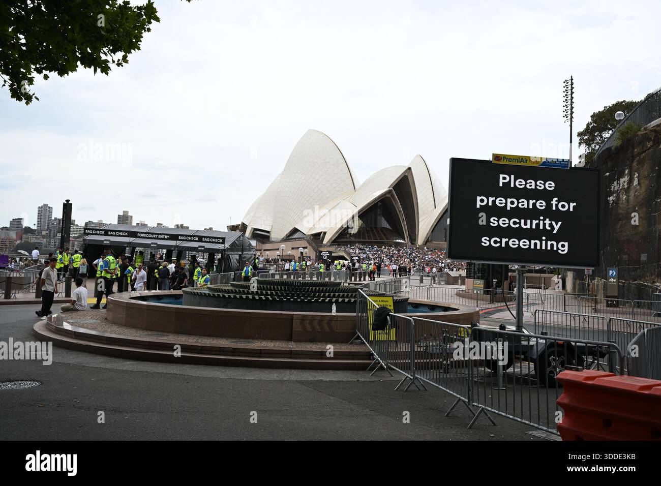 XX during News Year’s Eve celebrations in Sydney, Wednesday, December ...