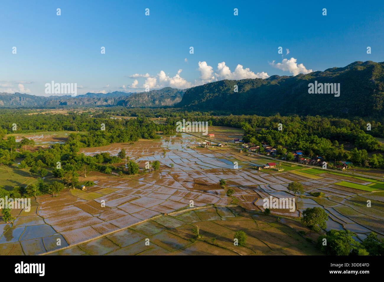 Flooded rice paddies edge small hi-res stock photography and images - Alamy