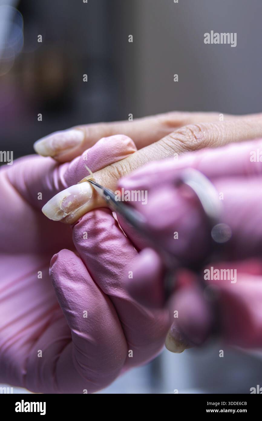 Captured up close cut hi-res stock photography and images - Alamy