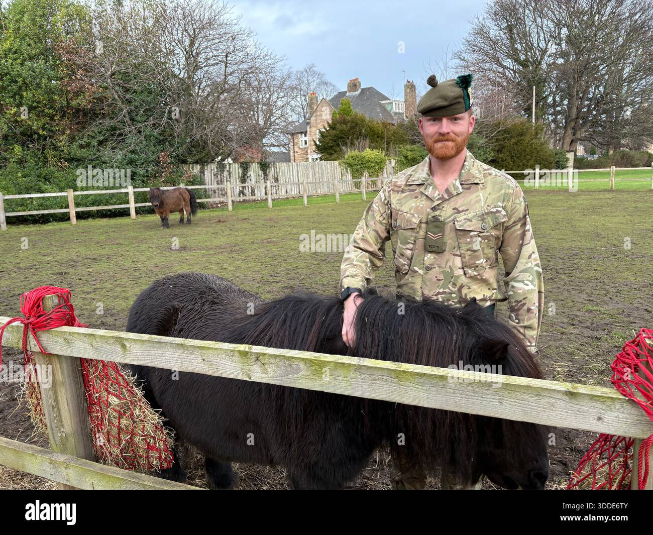 The Royal Regiment of Scotland of the regimental Shetland pony mascot ...