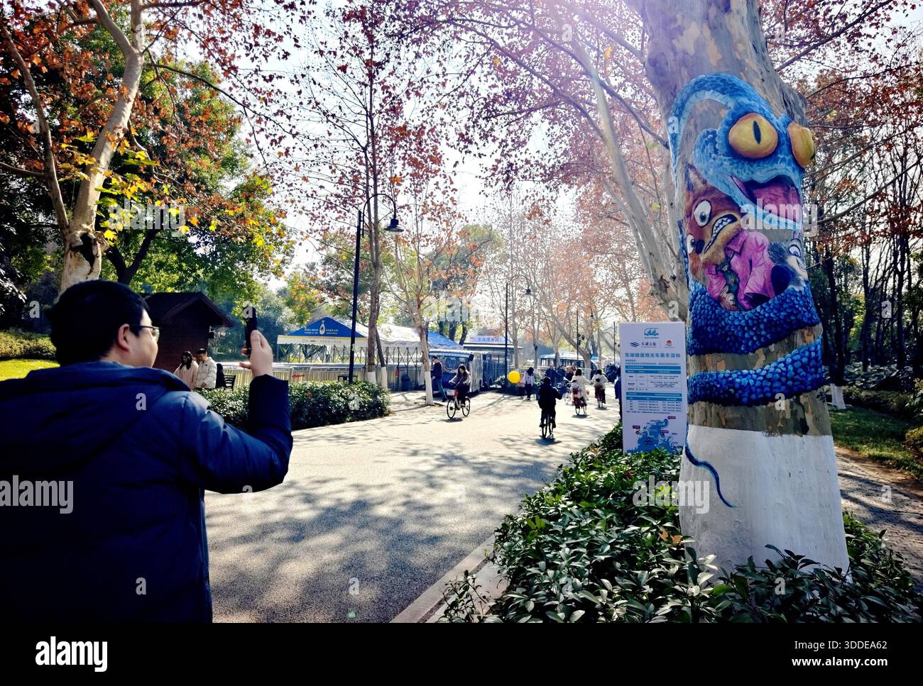Trees are put on brightly colored "sweaters" for winter in Wuhan City ...