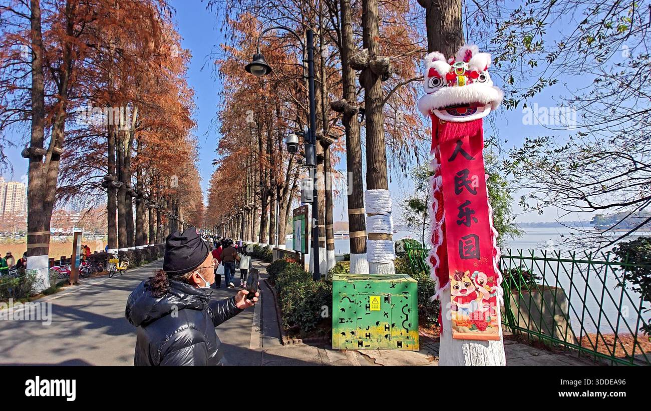 Trees are put on brightly colored "sweaters" for winter in Wuhan City ...