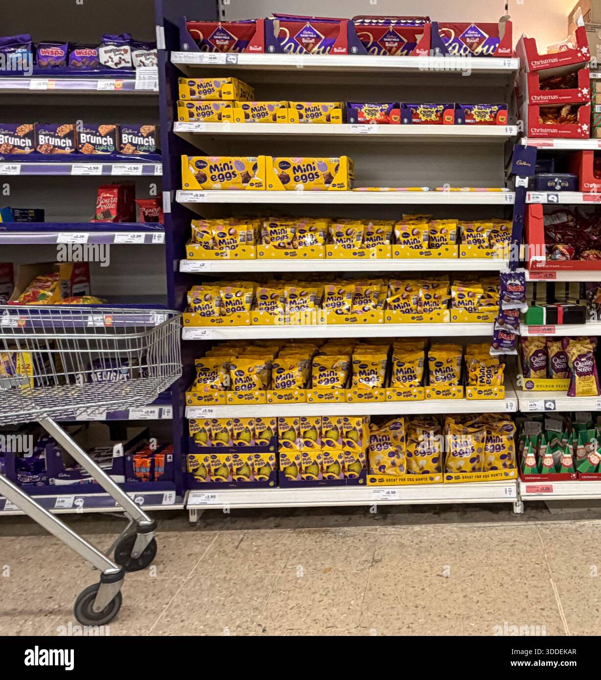 Alphington, Exeter, Devon, UK. 31st December, 2025. Early Easter ...