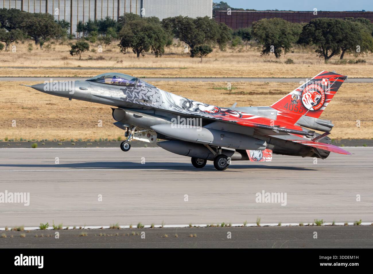 Polish Air Force F-16Cs during NATO's Tiger Meet exercises in Beja ...