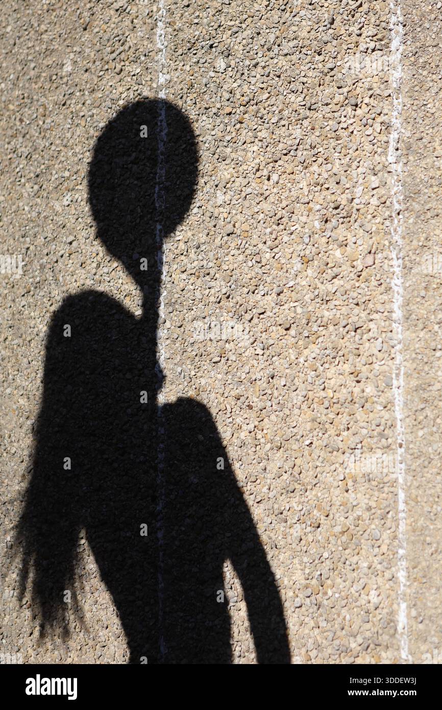 Shadow of girl shooting netball ball into netball goal net Stock Photo ...