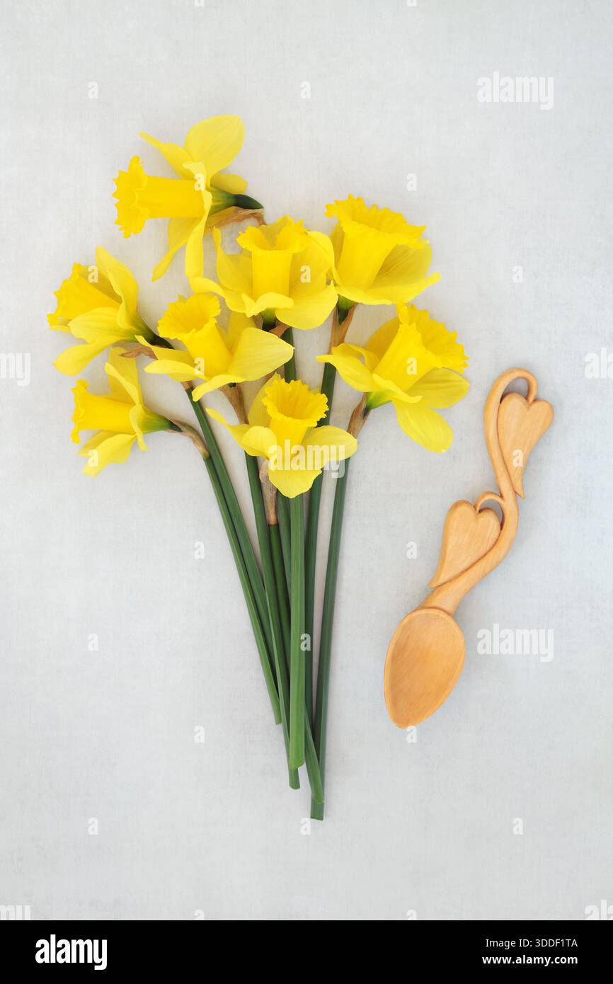 Welsh national symbols of heart shape love spoon and daffodil flowers ...