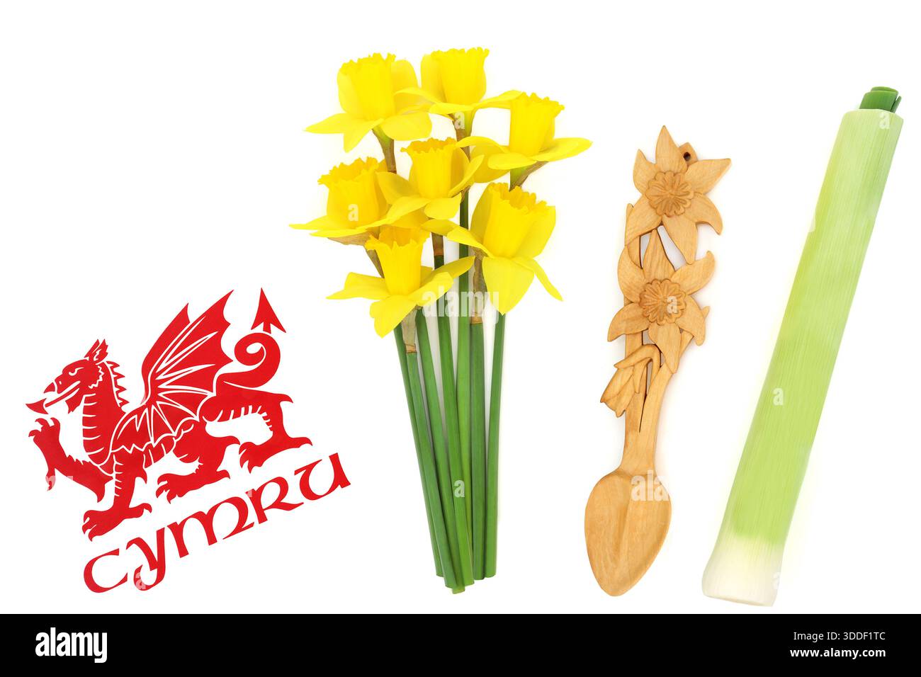 Patriotic welsh Cut Out Stock Images & Pictures - Alamy