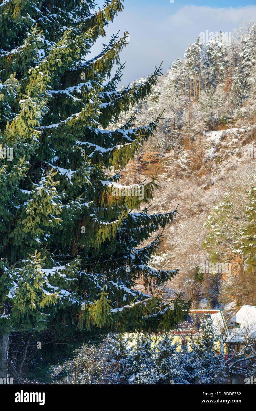 Crisp mountain air concept hi-res stock photography and images - Alamy