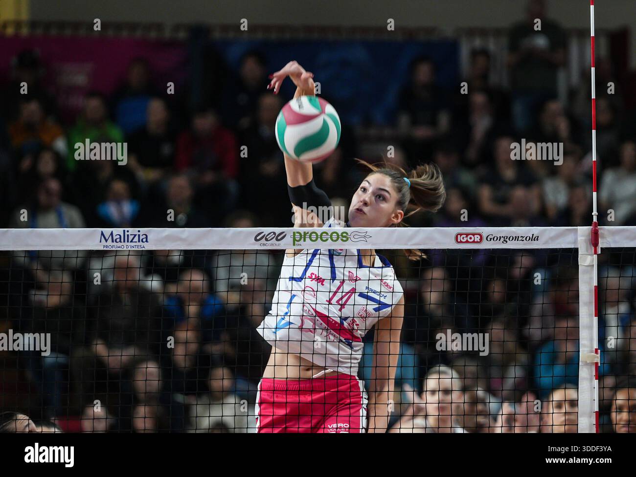 Hena Kurtagic (Numia Vero Volley Milano) during Igor Gorgonzola Novara ...