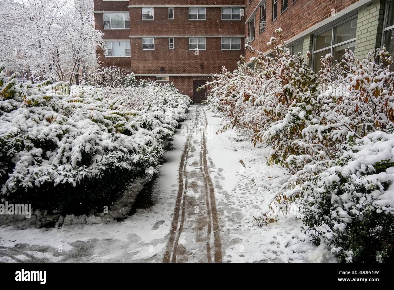 Winter wonderland of snow in Chelsea in New York after the first ...