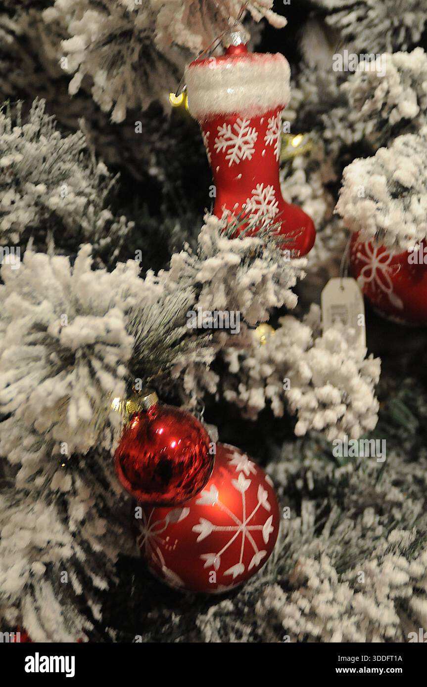 Copenhagen /Denmark/ 21.December 2019/ Christmas tree and christmas ...