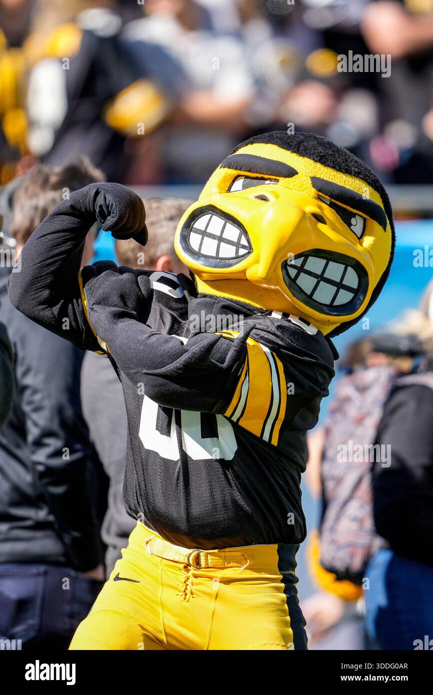 TAMPA, FL - DECEMBER 31: Iowa Hawkeyes mascot Herky the Hawk flexes ...