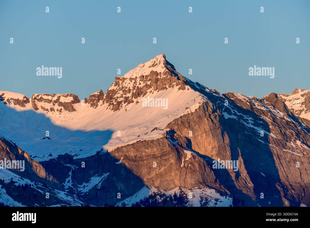 Dsert de plat hi-res stock photography and images - Alamy