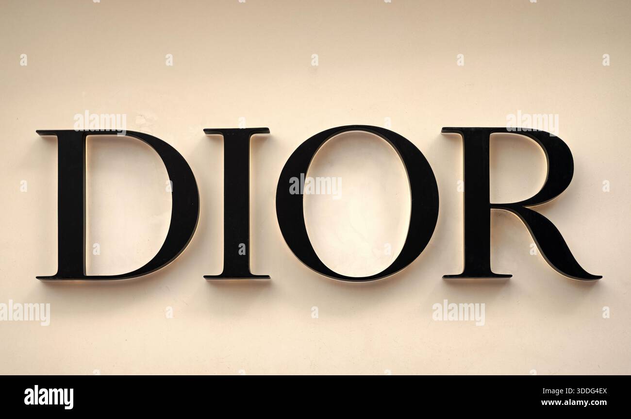 dior logo design