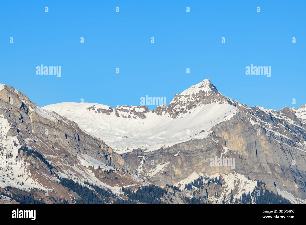 Dsert de plat hi-res stock photography and images - Alamy