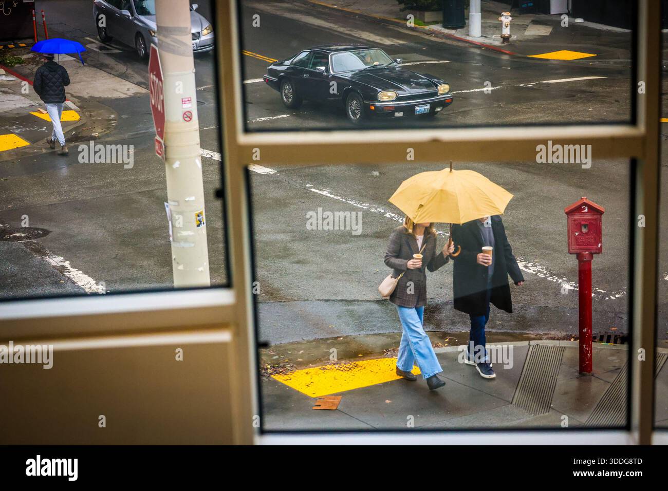 People walk through the rain on Fillmore Street in San Francisco ...