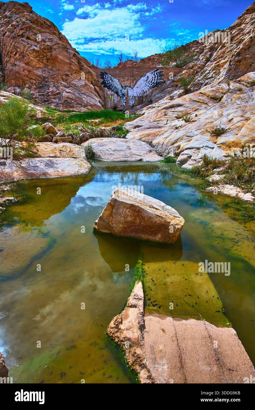 Owl Mural on Desert Dam with Frogs Tadpoles and Rocky Water Pool in ...