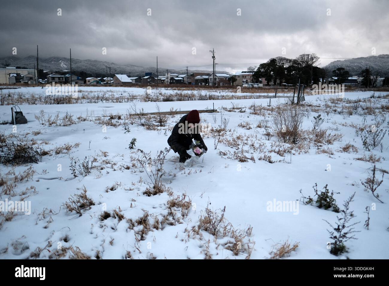 65-year-old Kumiko Hatanaka offers a bunch of flowers and prays ...