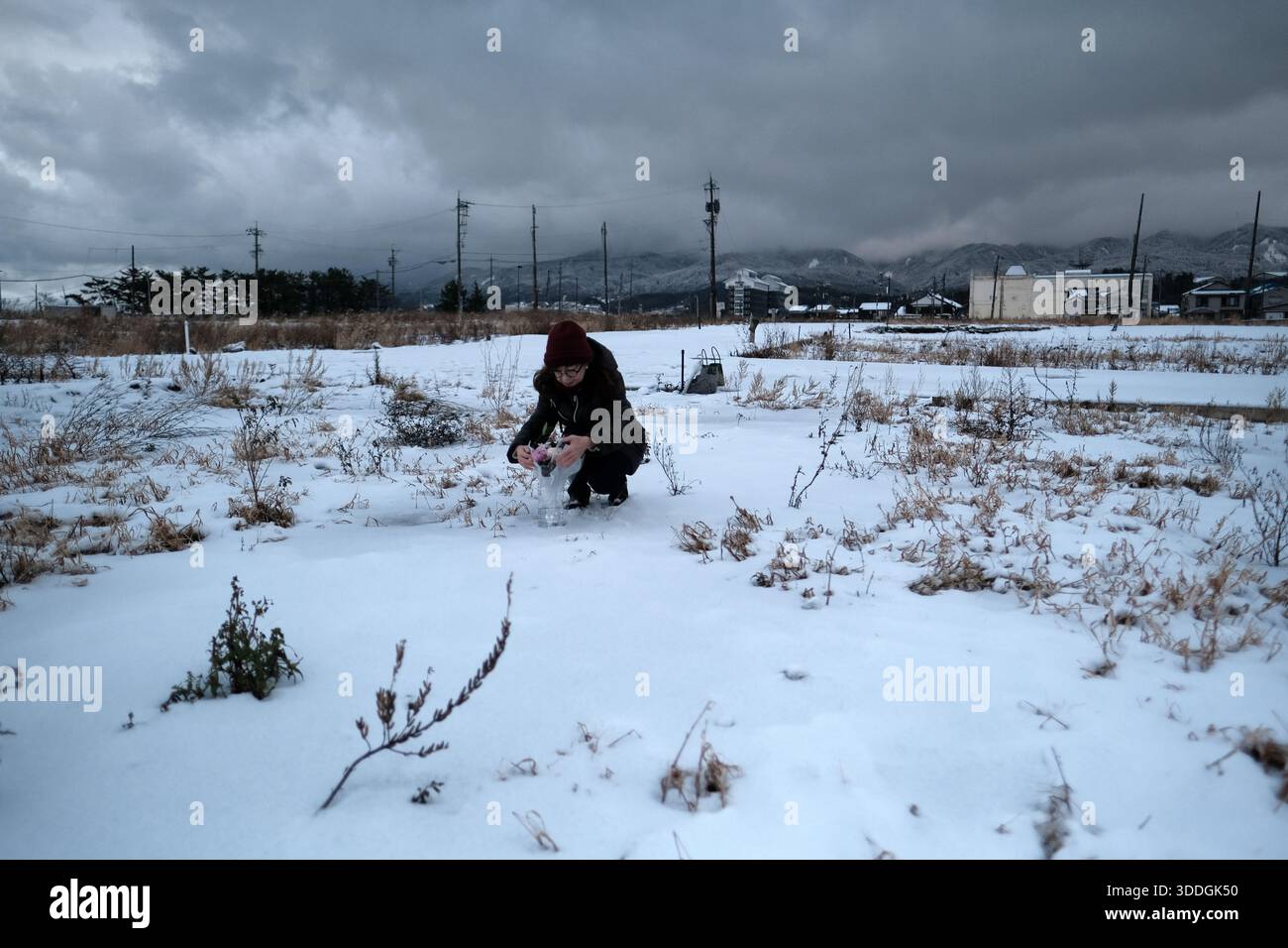 65-year-old Kumiko Hatanaka offers a bunch of flowers and prays ...