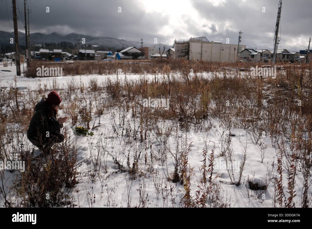 65-year-old Kumiko Hatanaka offers a bunch of flowers and prays ...