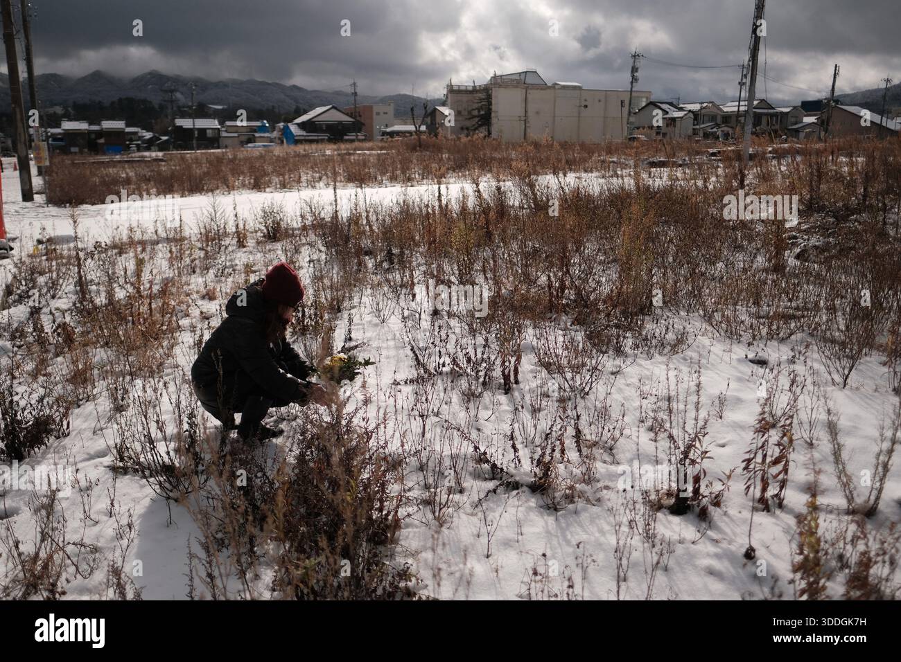 65-year-old Kumiko Hatanaka offers a bunch of flowers and prays ...