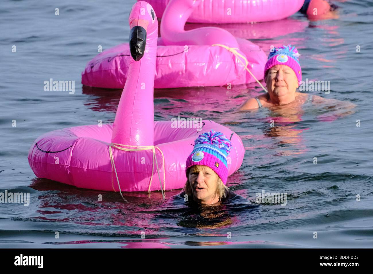 Clevedon, Somerset, UK. 1st Jan 2026. A bracing dip in the Marine Lake ...