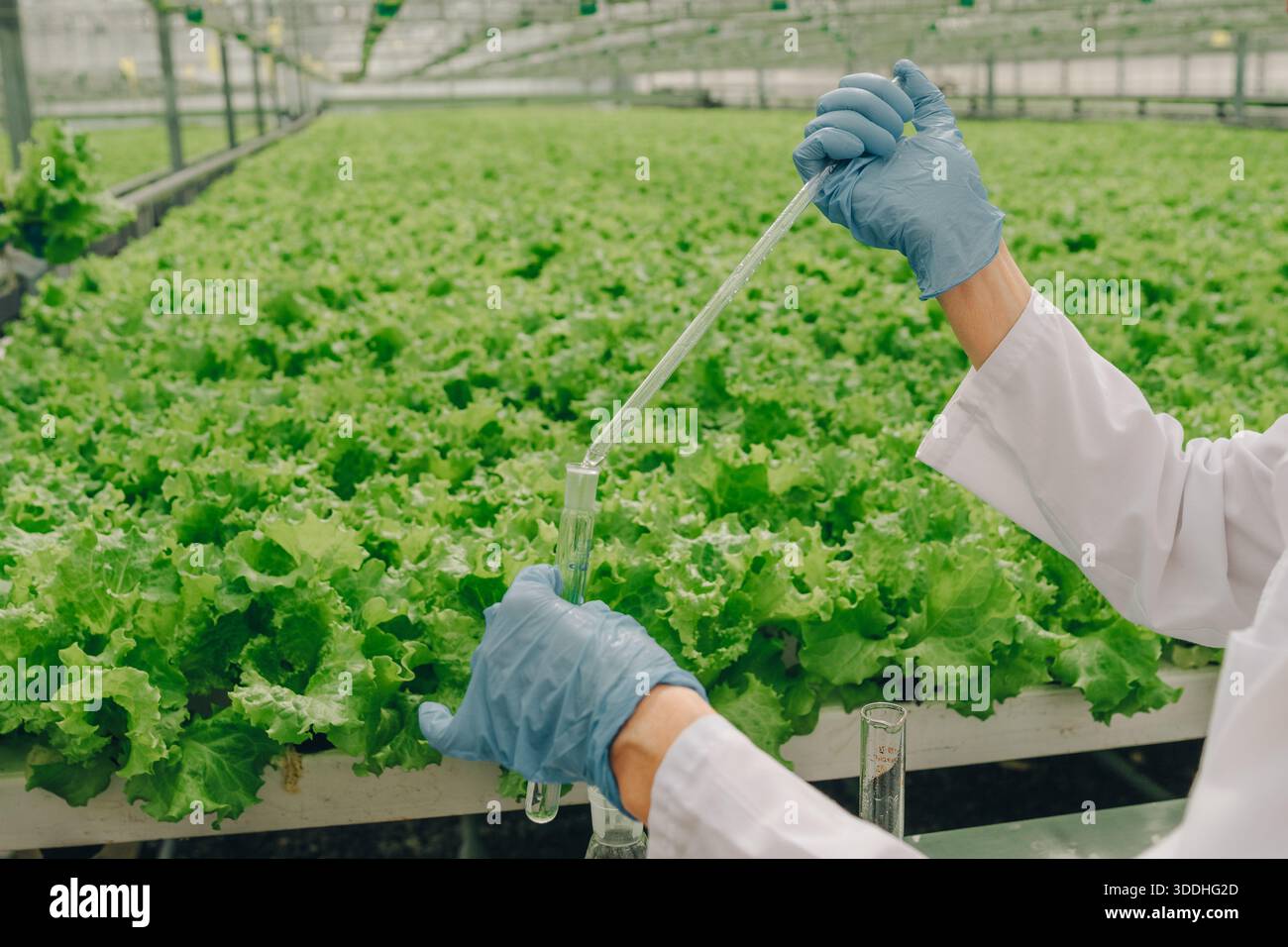 Farming tablet team crops hi-res stock photography and images - Alamy