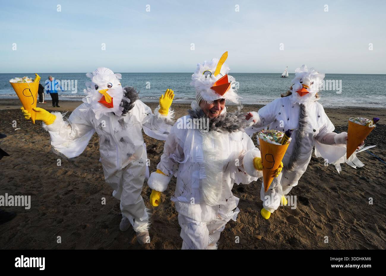 Members of the Bray Beach Bathers on the beach ahead of the annual New ...