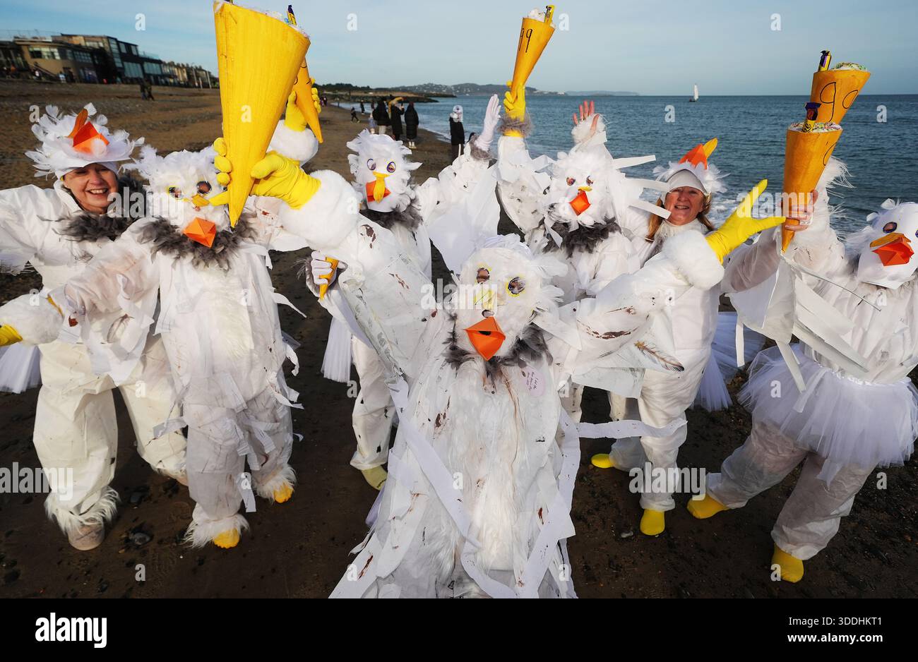 Members of the Bray Beach Bathers on the beach ahead of the annual New ...