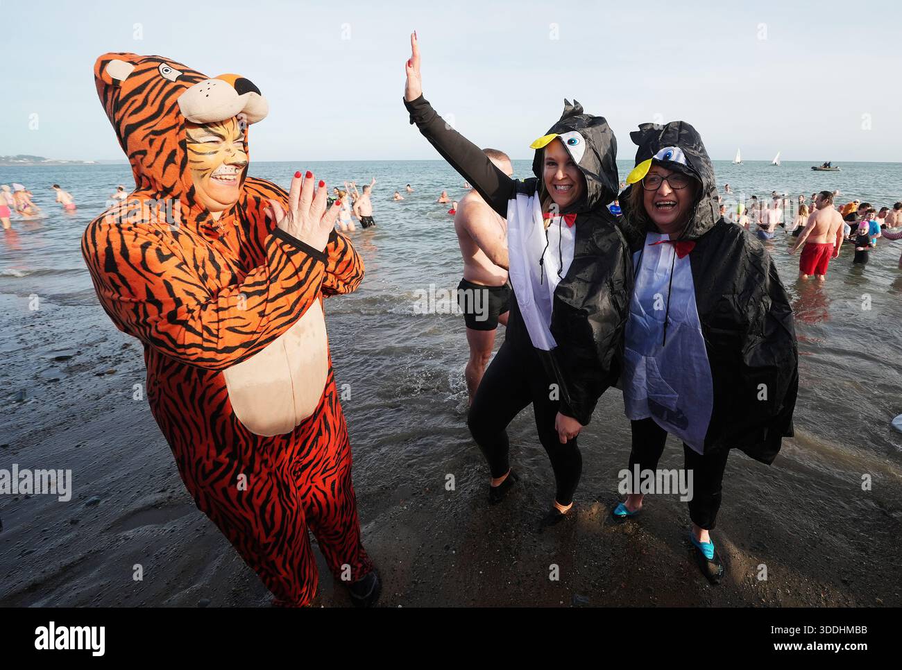 Swimmers take part in the annual New Year’s Day charity swim on Bray ...