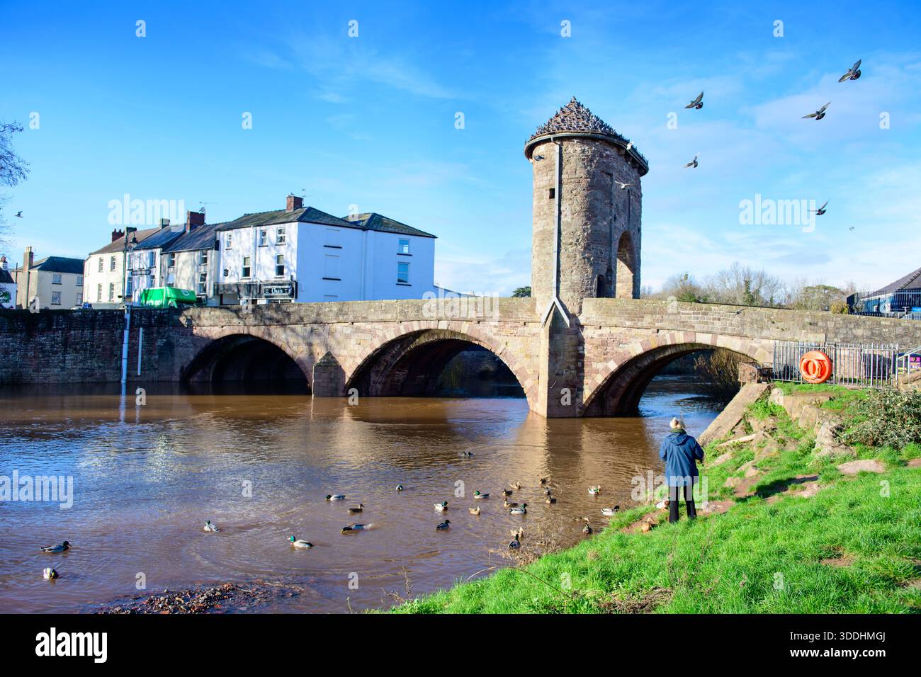 Monnow Bridge in Monmouth Stock Photo - Alamy