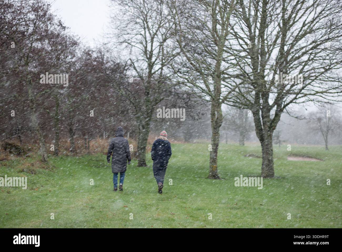 Walkers out in the snow in Cults Aberdeen, Scotland on new Years Day ...
