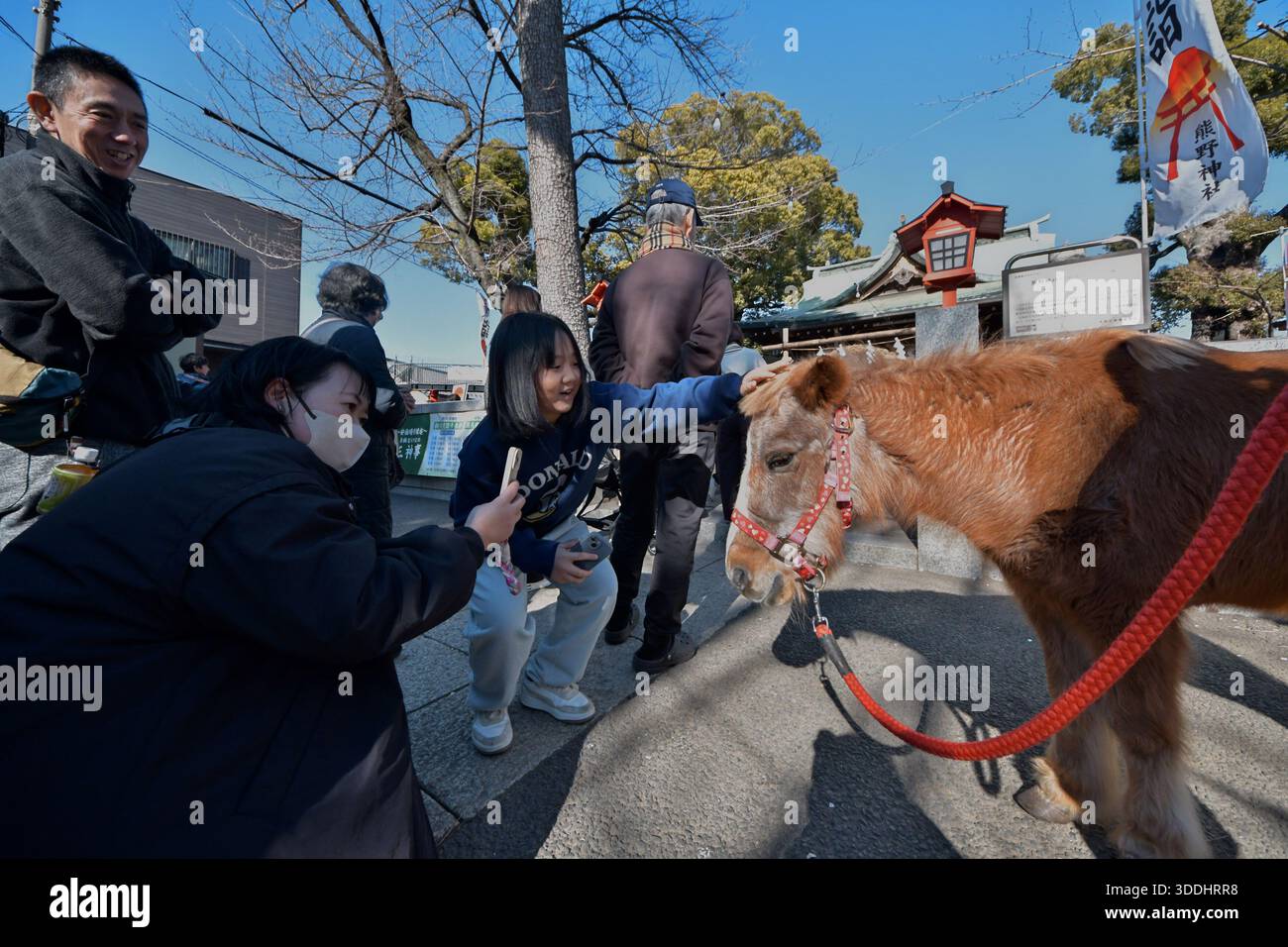 Visitors petting a pony at the Gotozan Kumano Shrine in Tokyo, Japan on ...