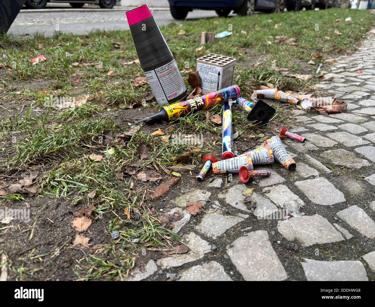 01 January 2026, Brandenburg, Potsdam: On New Year's Day there are ...