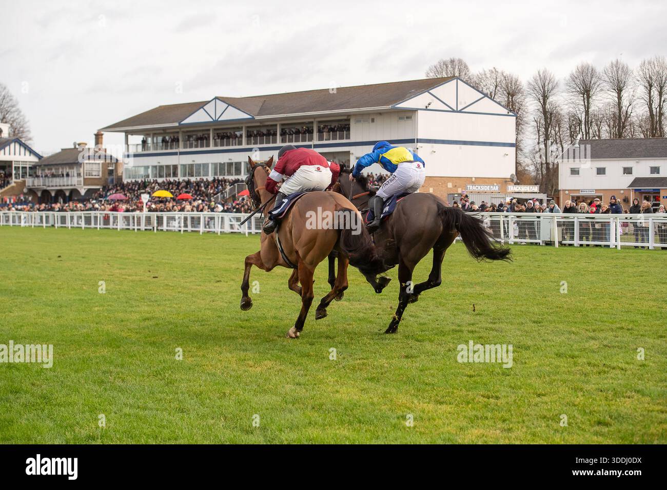 Jay tidball hi-res stock photography and images - Alamy