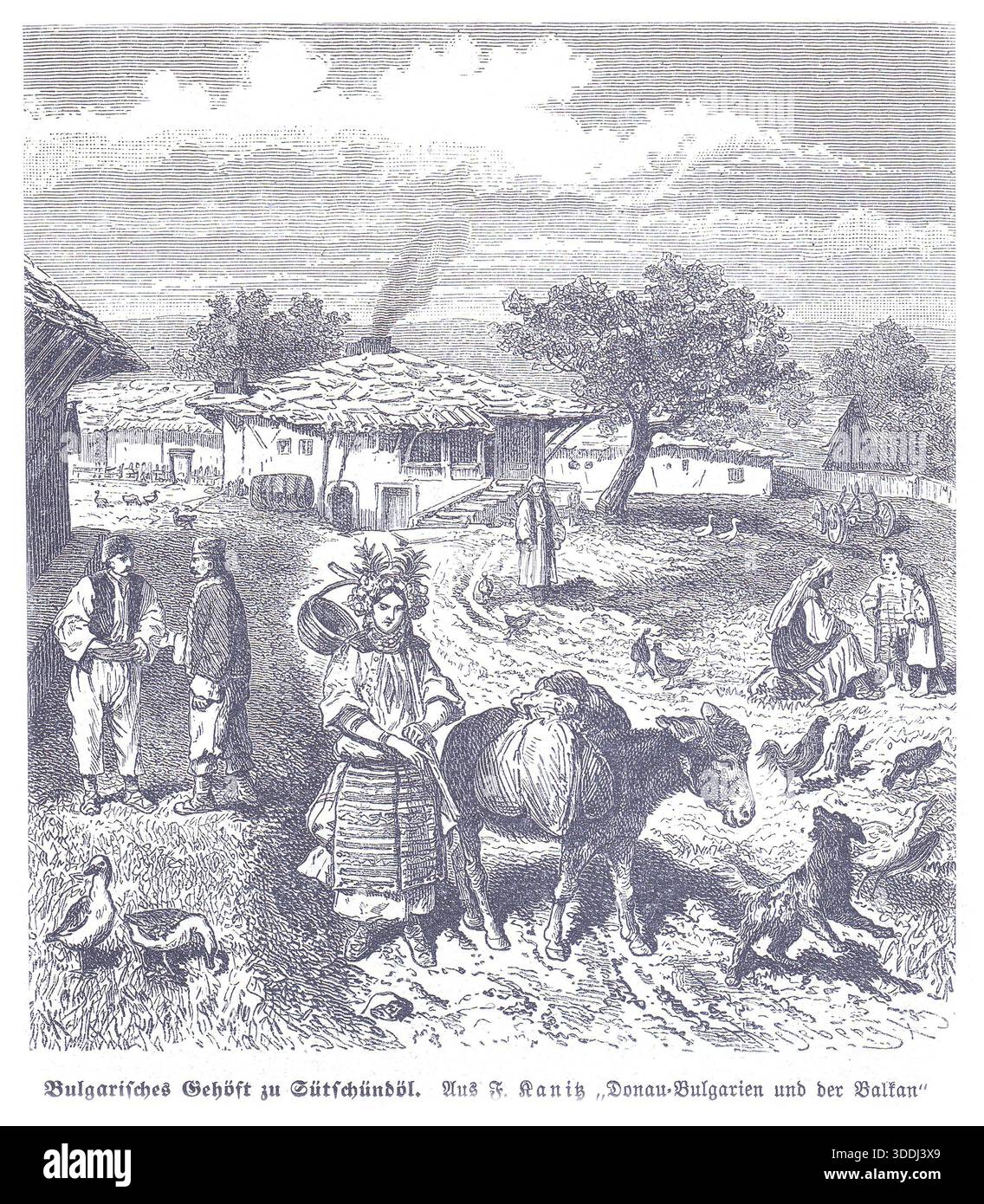 Rural Bulgarian Village Scene With Farmers, Animals, and Traditional ...