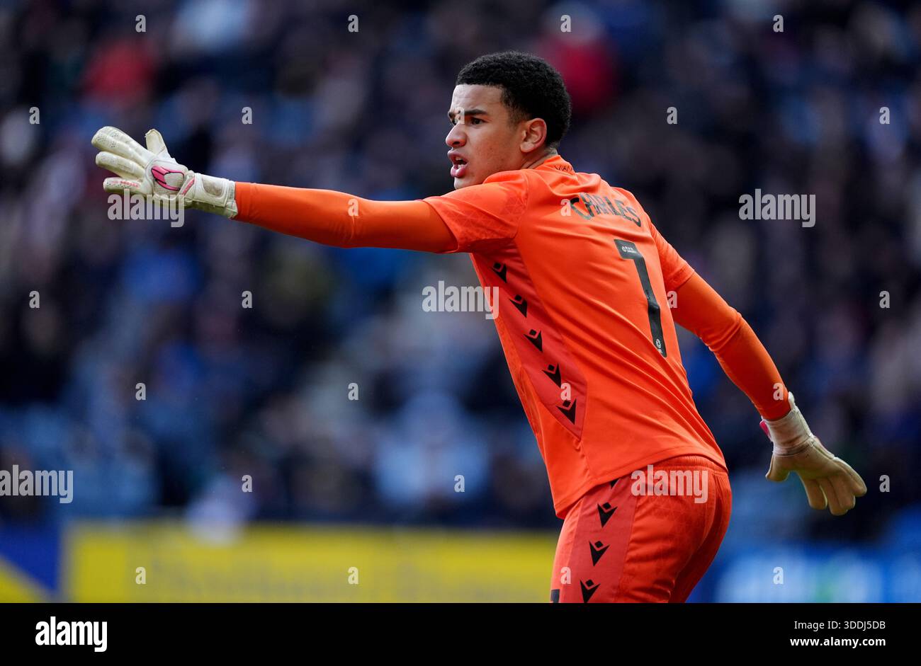 Sheffield Wednesday goalkeeper Pierce Charles during the Sky Bet ...