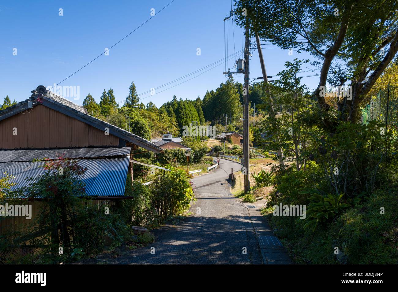 A quiet paved road curves past traditional wooden houses and lush ...