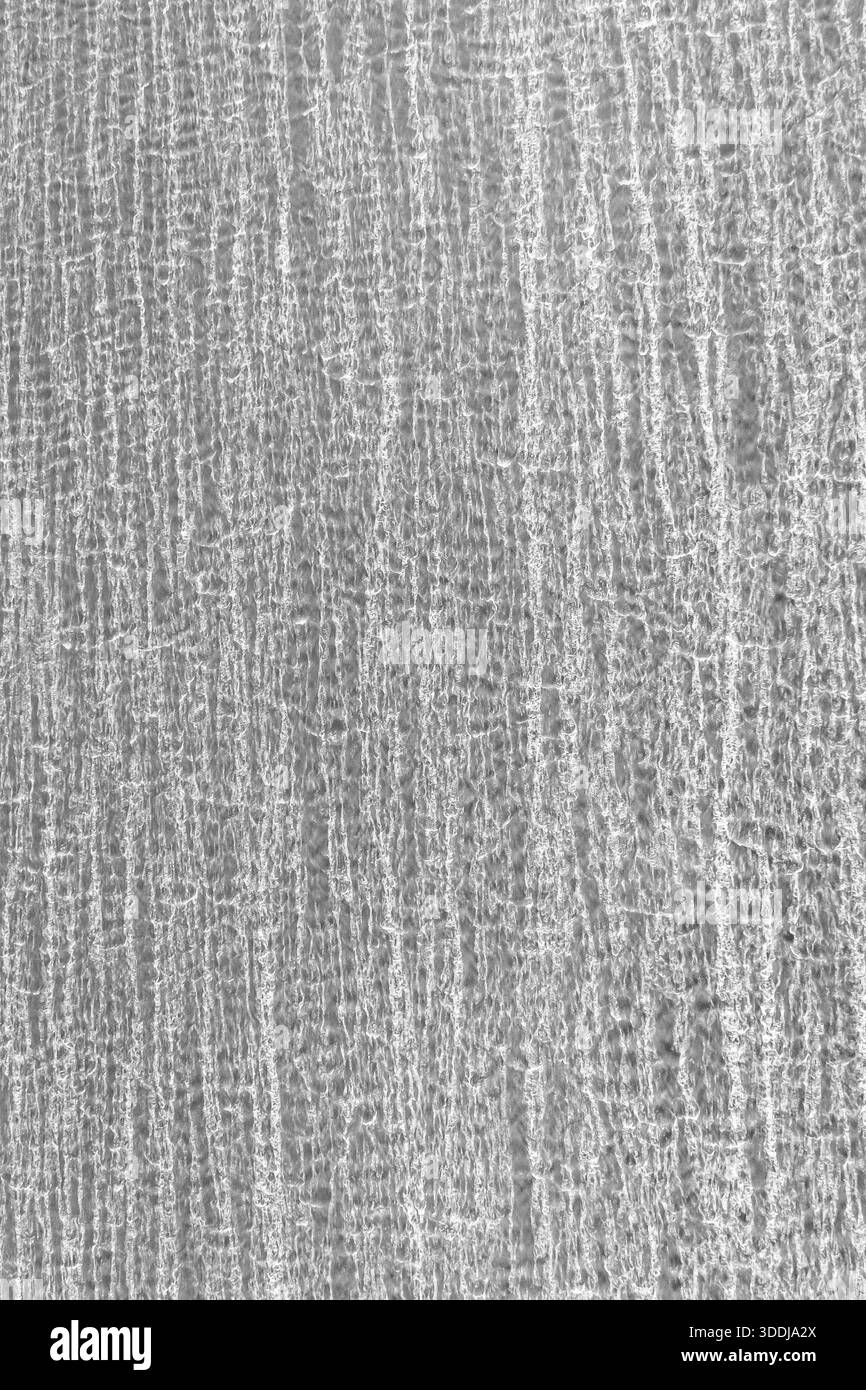 Great views beautiful sun Black and White Stock Photos & Images - Alamy