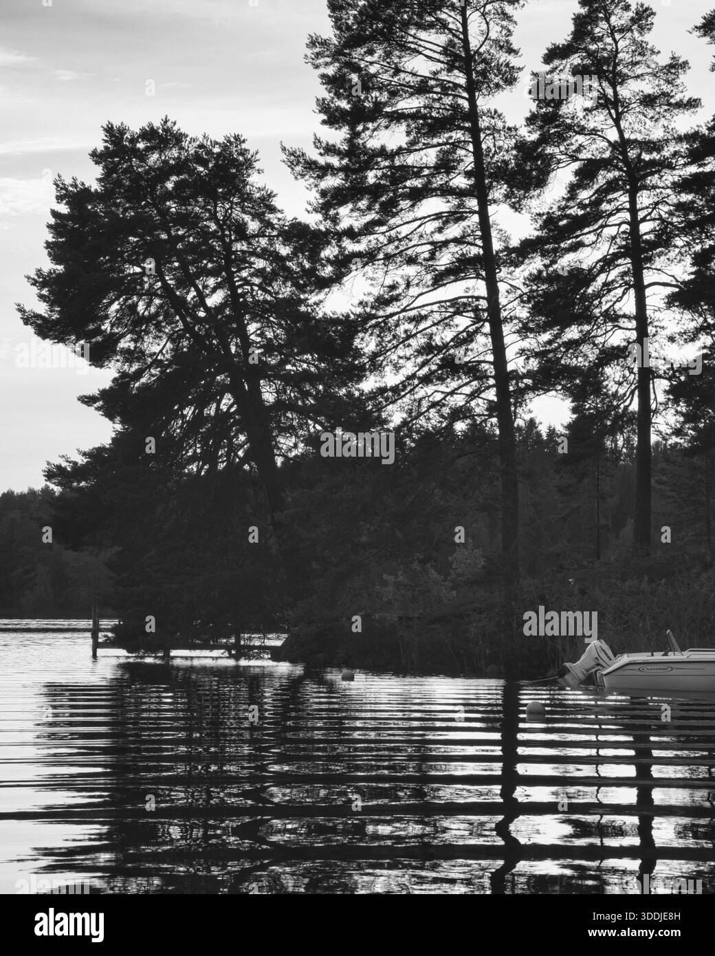 Countryside stillness Black and White Stock Photos & Images - Alamy