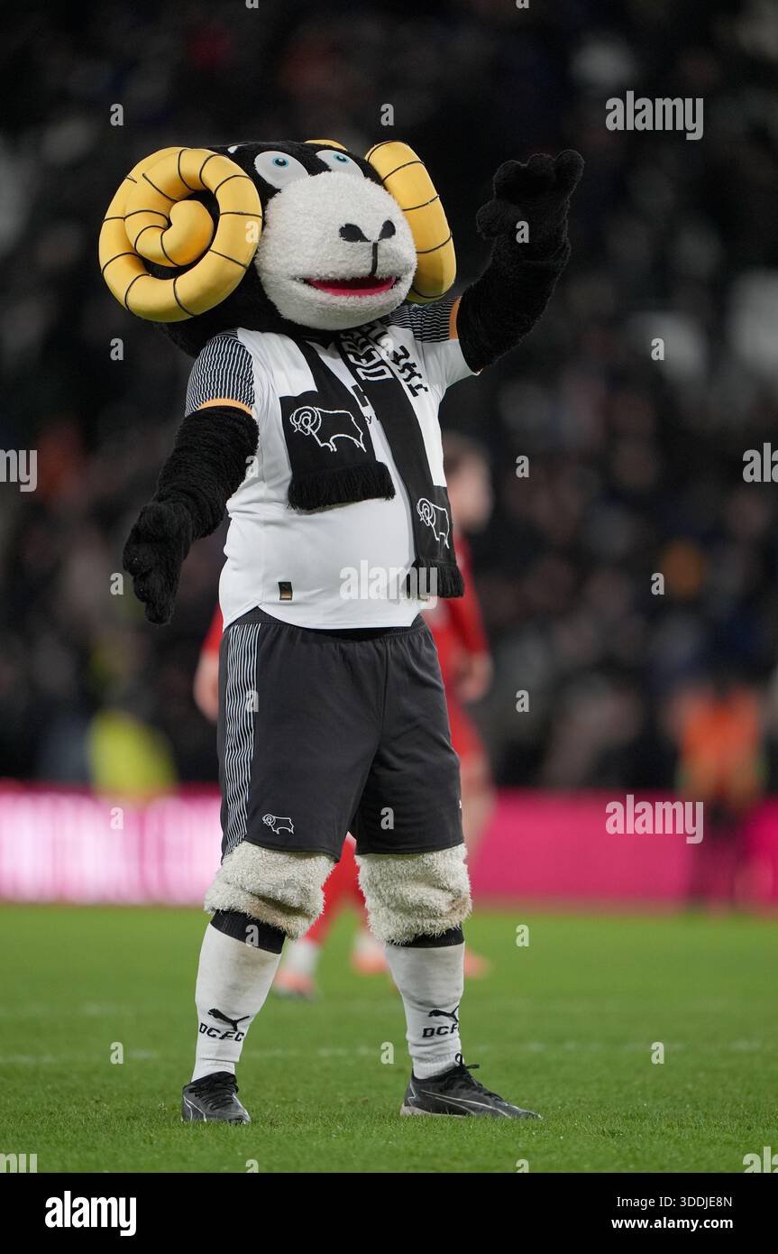 Derby County mascot 'Rammie the Ram' following the Sky Bet Championship ...