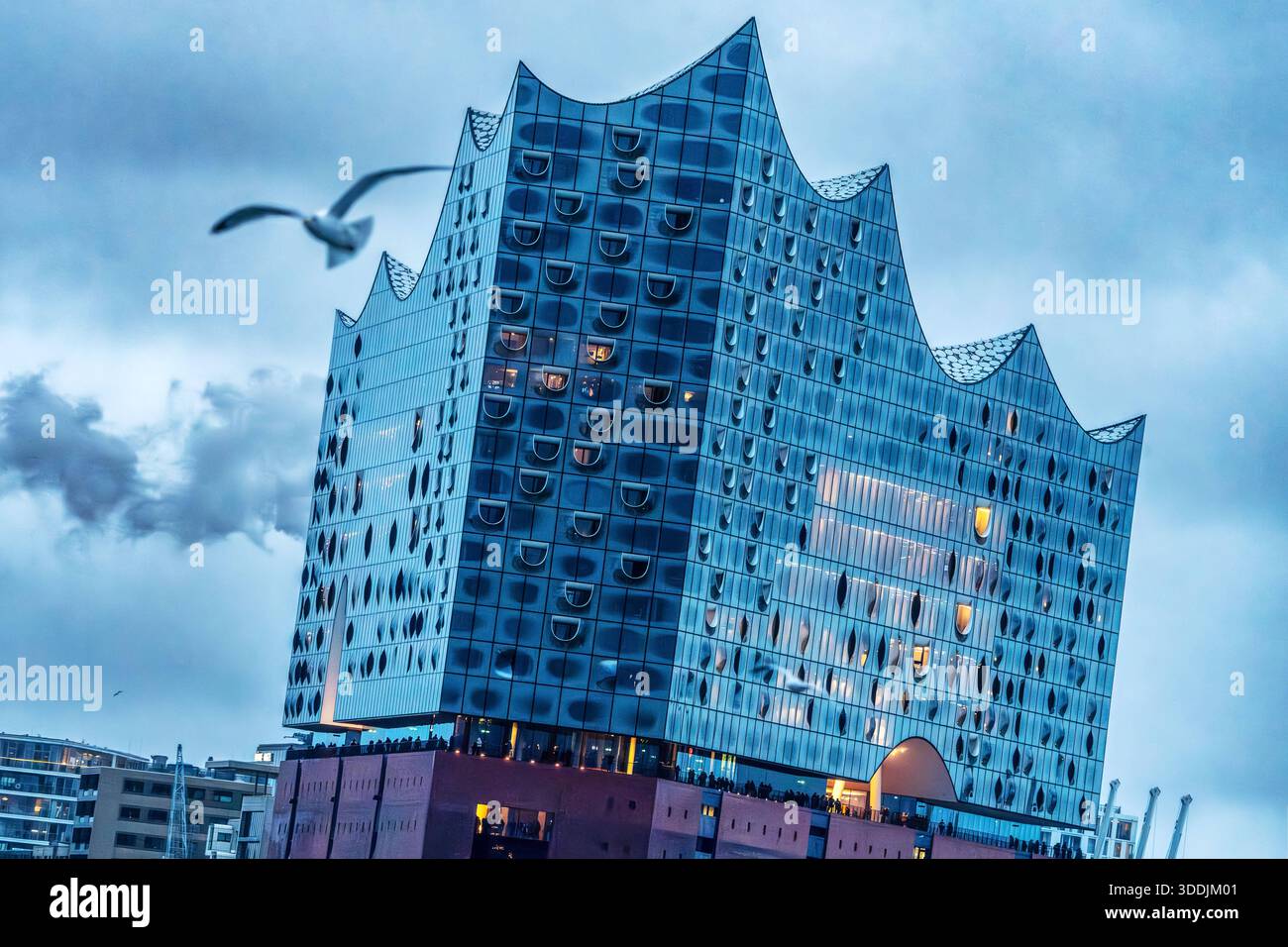 Elbphilharmonie, Möwe fliegt durch den wolkenverhangenen Hamburger ...