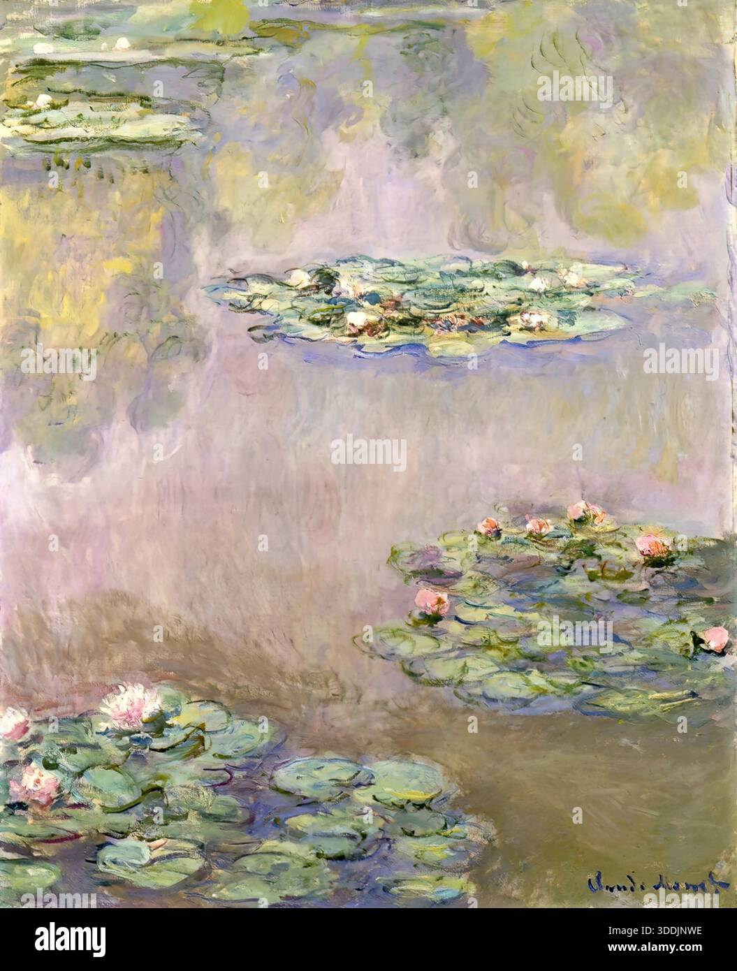 Nympheas water landscape Stock Vector Images - Alamy