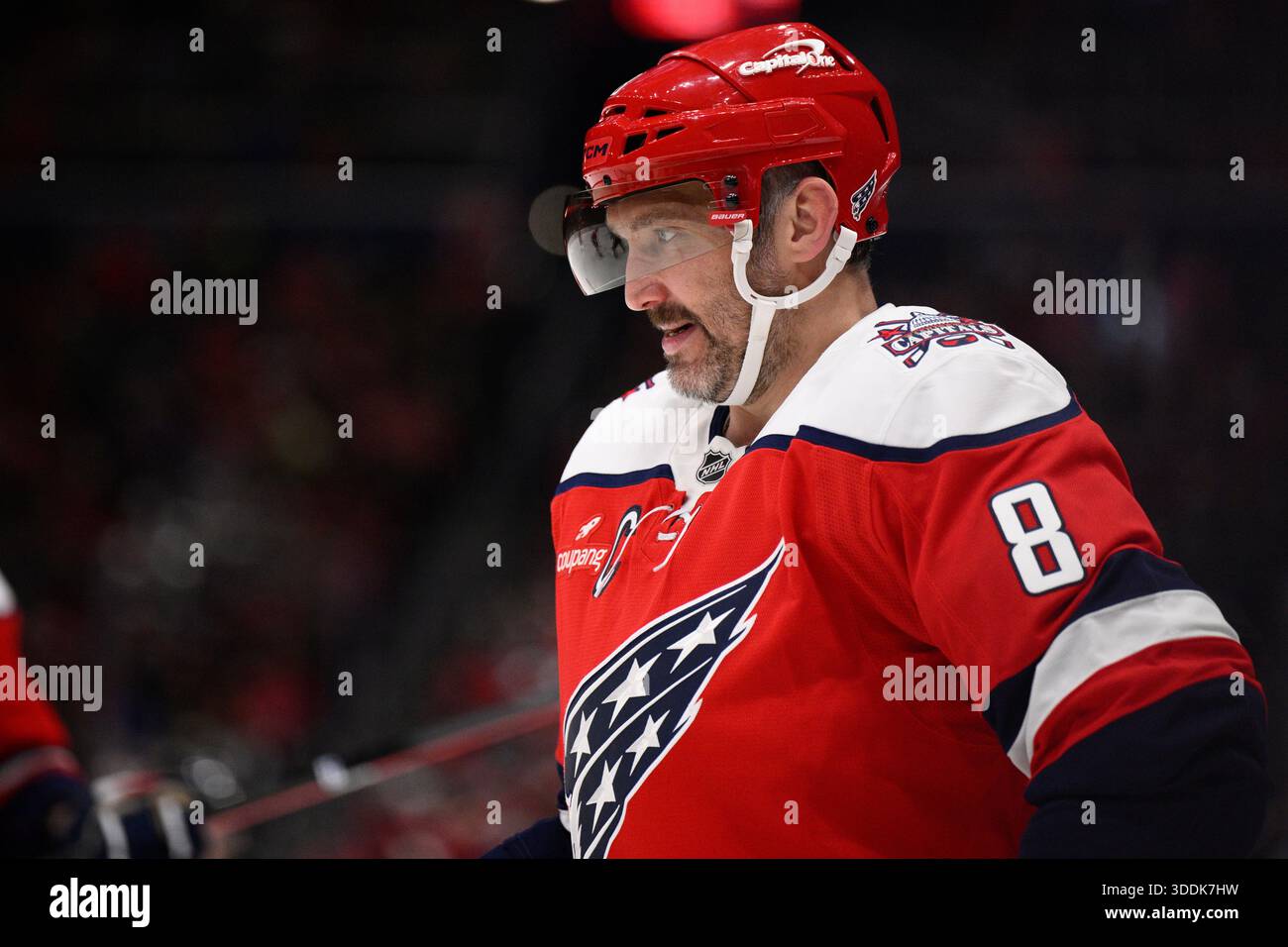 Washington Capitals left wing Alex Ovechkin (8) looks on during the ...