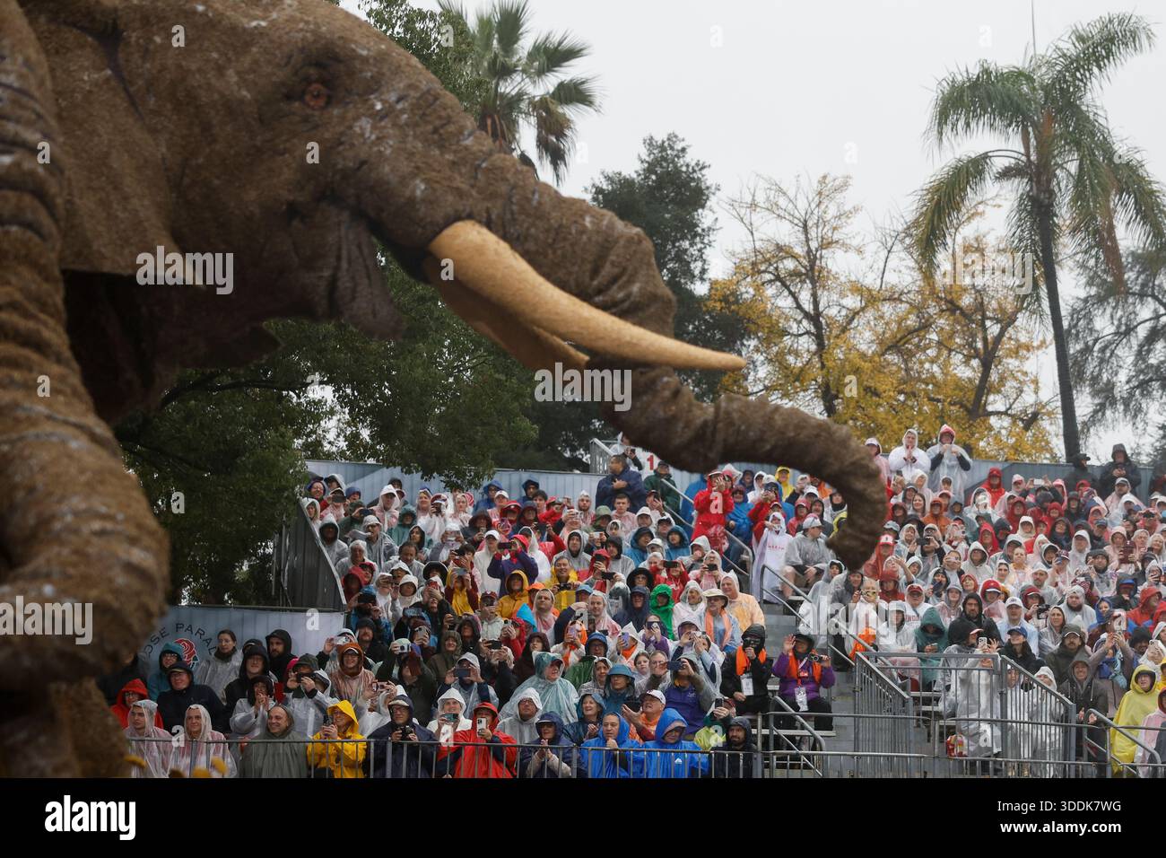 Attendees watch the San Diego Zoo Wildlife Alliance float participate ...