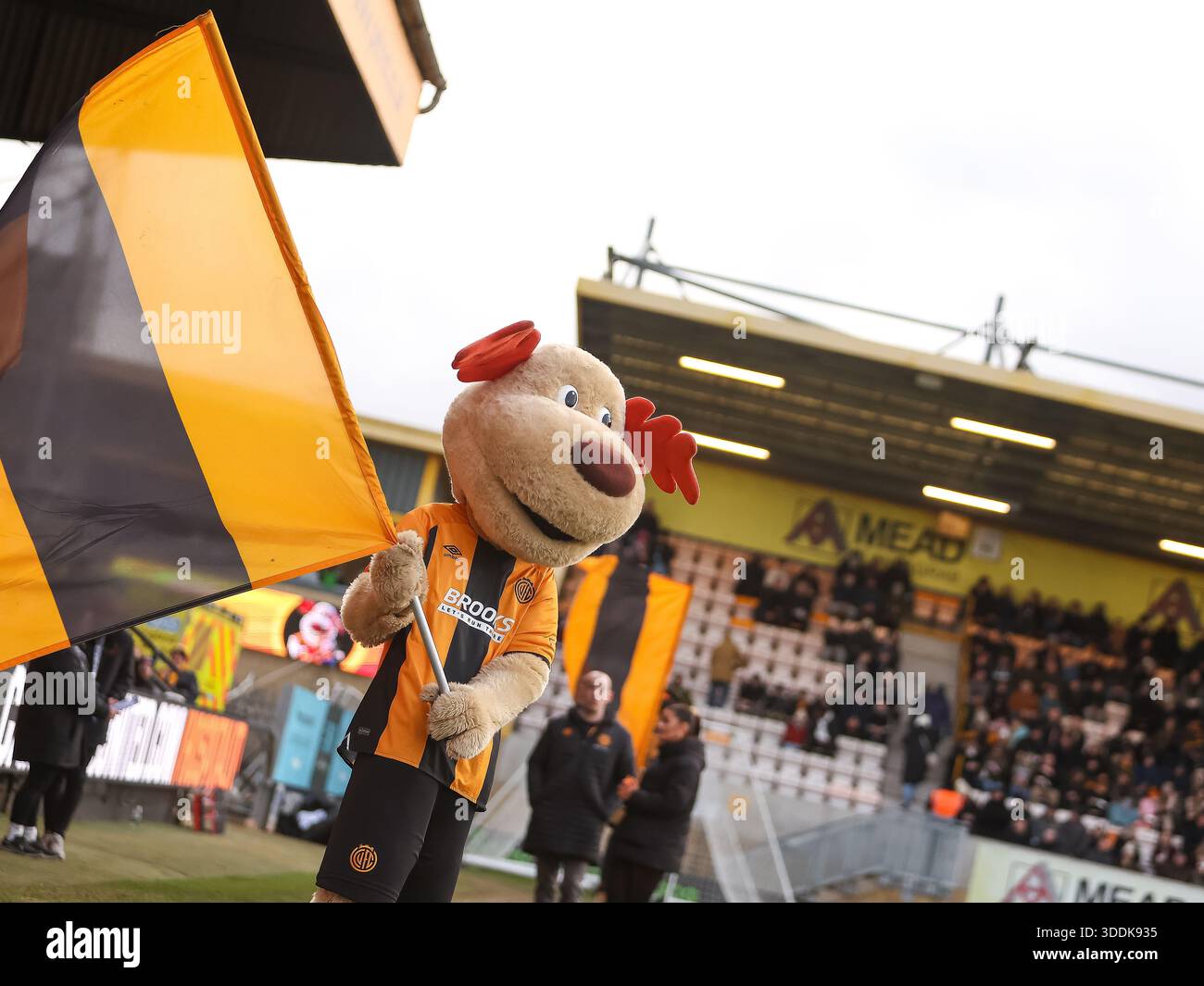 CAMBRIDGE, ENGLAND - JANUARY 1: Cambridge United mascot Marvin the ...