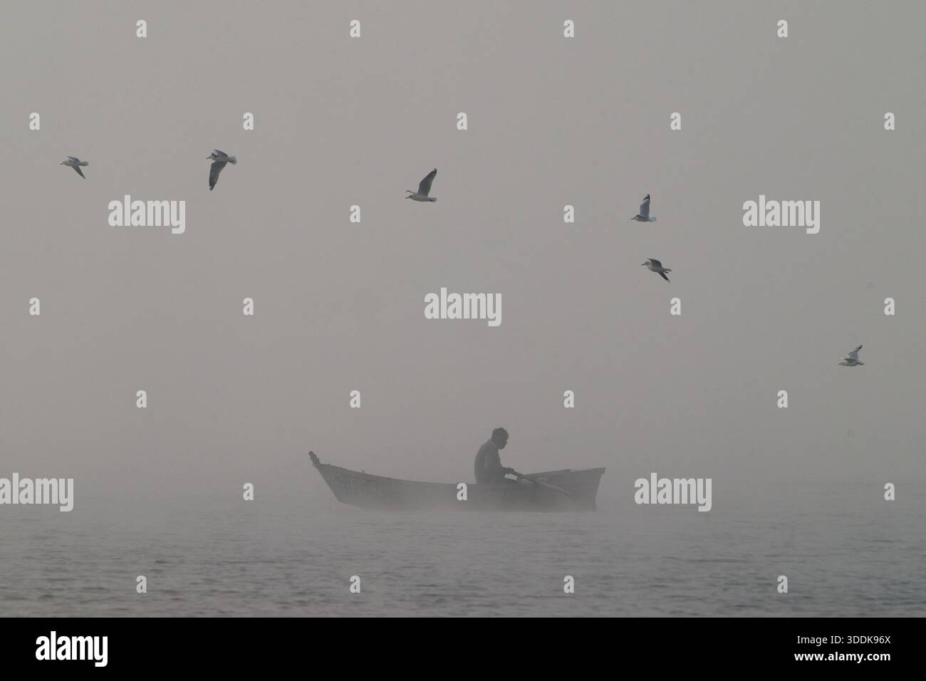 FILE - Gulls fly over a fisherman returning in his boat after working ...