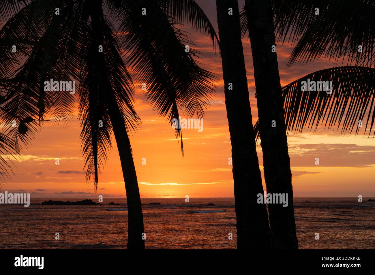 DOMINICAL, PUNTARENAS PROVINCE, COSTA RICA: A dramatic sunset over the ...