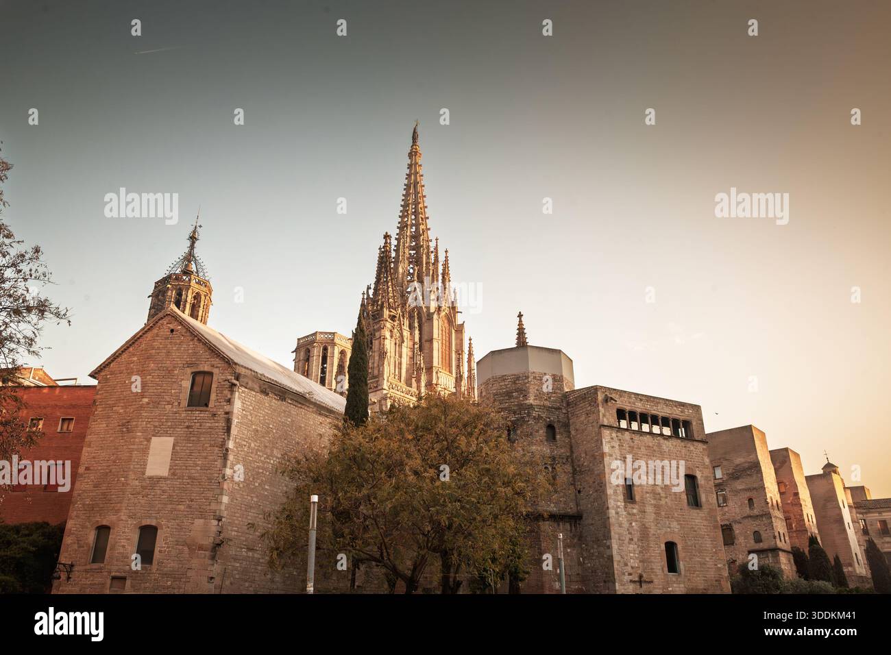 Catedral de barcenola hi-res stock photography and images - Alamy