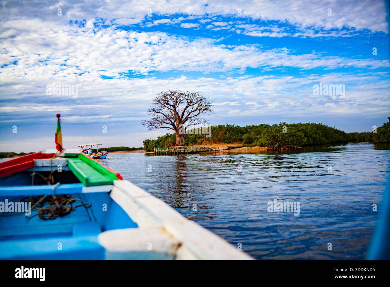 Boat trip on the Sine-Saloum River among baobabs, mangroves, pelicans ...